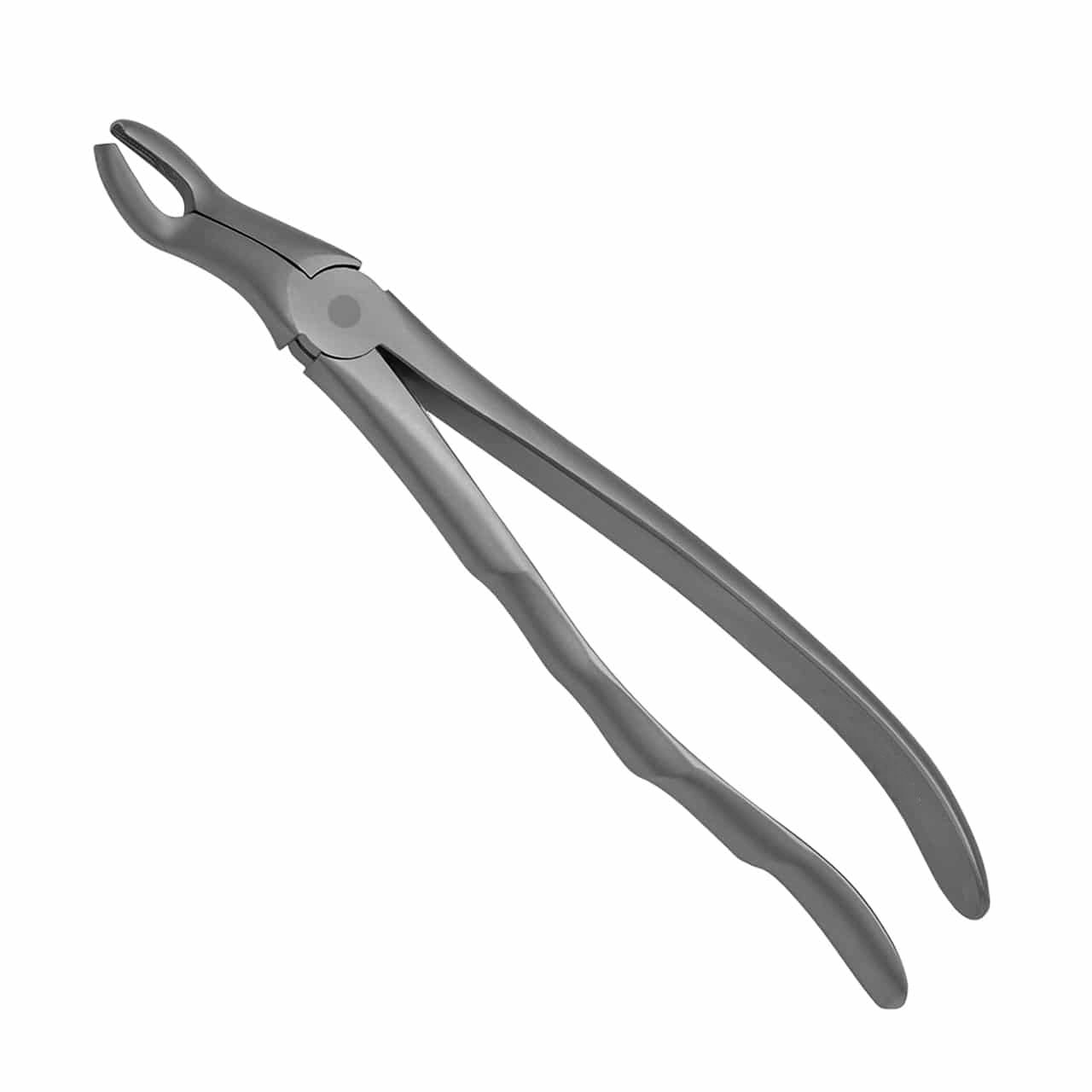 Extraction Forceps, Upper 3rd Molar – Haggai Dental