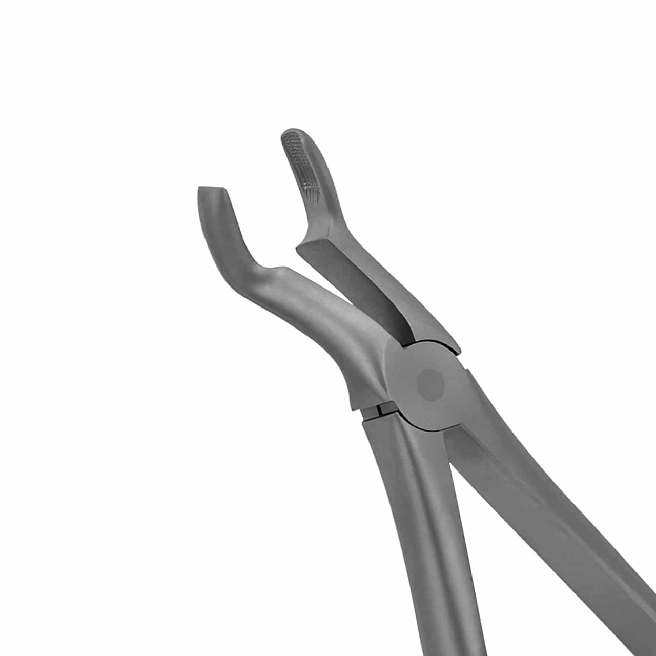 Extraction Forceps, Upper 3rd Molar – Haggai Dental