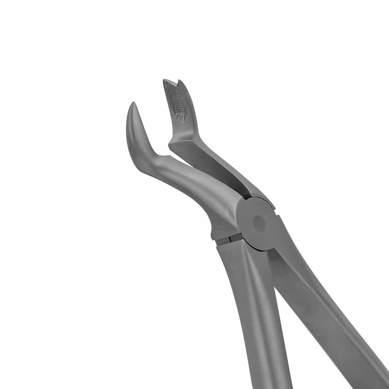Extraction Forceps, Upper Right Molars, Bayonet Pattern – Haggai Dental