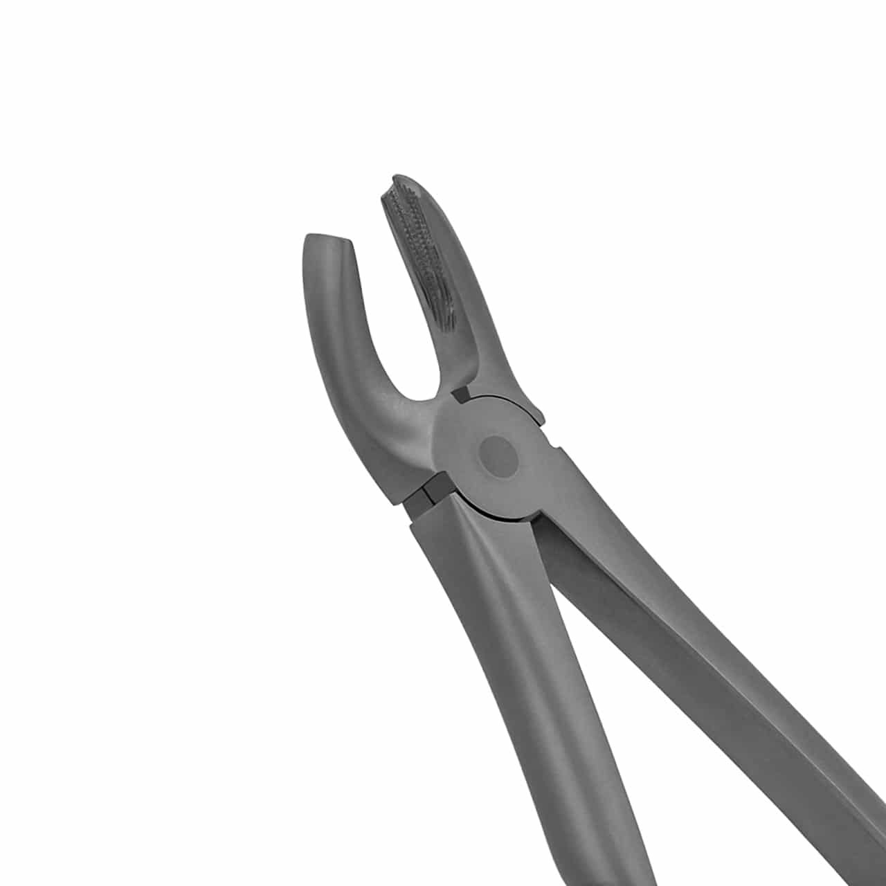 Universal Extraction Forceps, Upper Right Molars – Haggai Dental