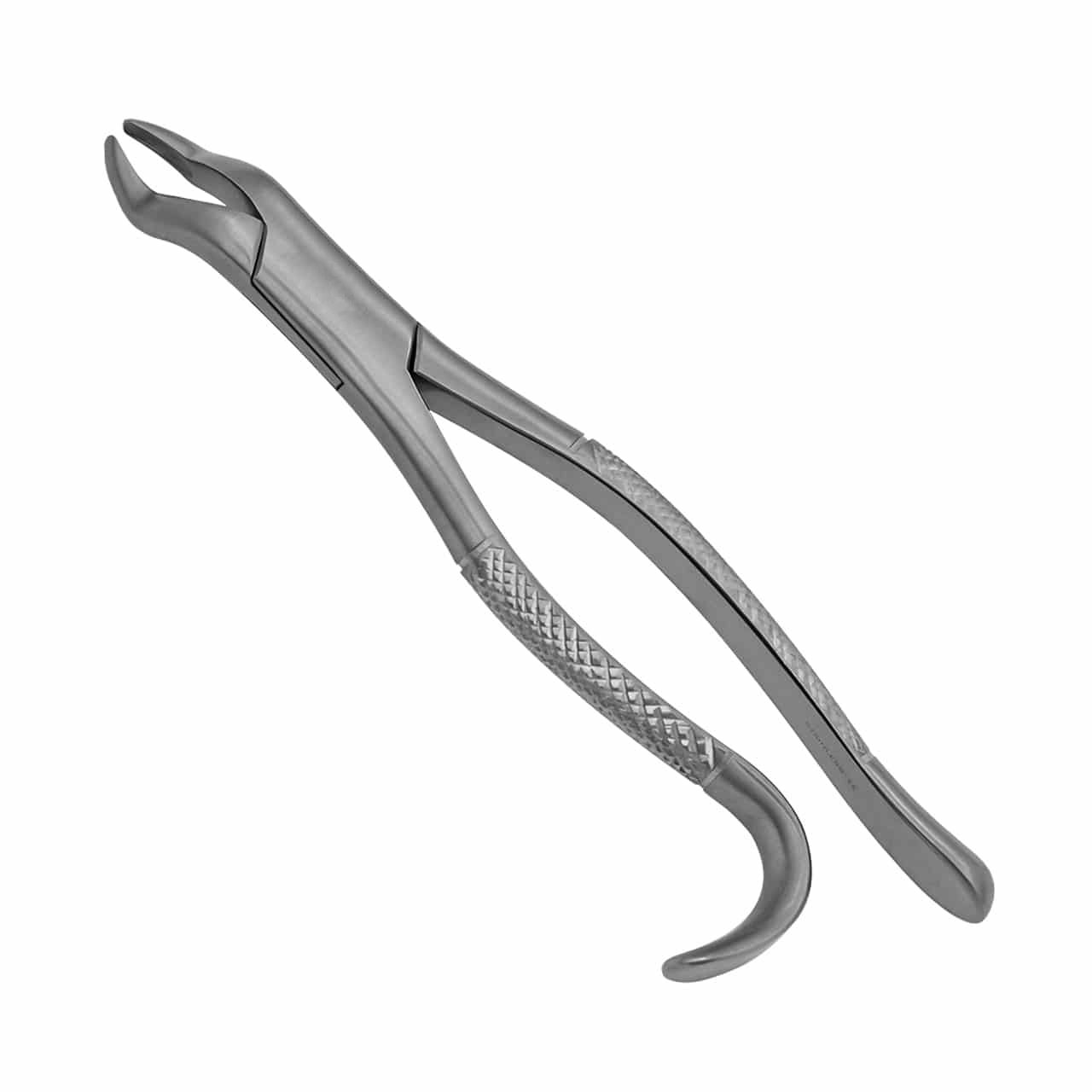 10H Universal Extraction Forceps – Haggai Dental