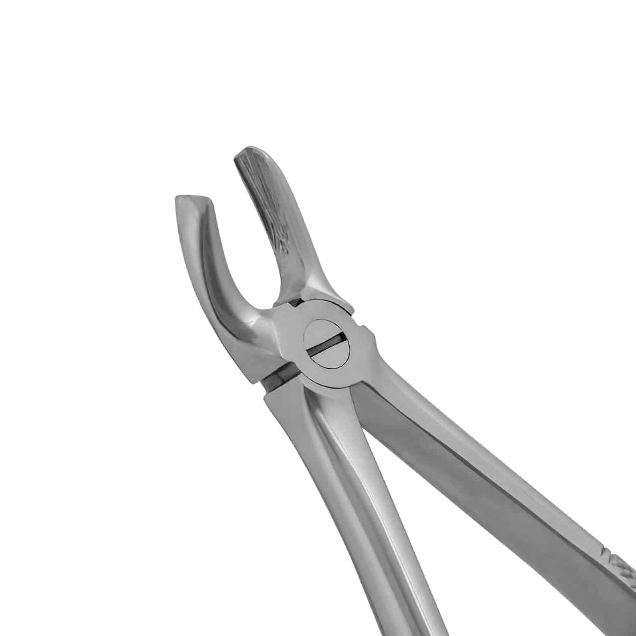 18 English Pattern Extraction Forceps – Haggai Dental