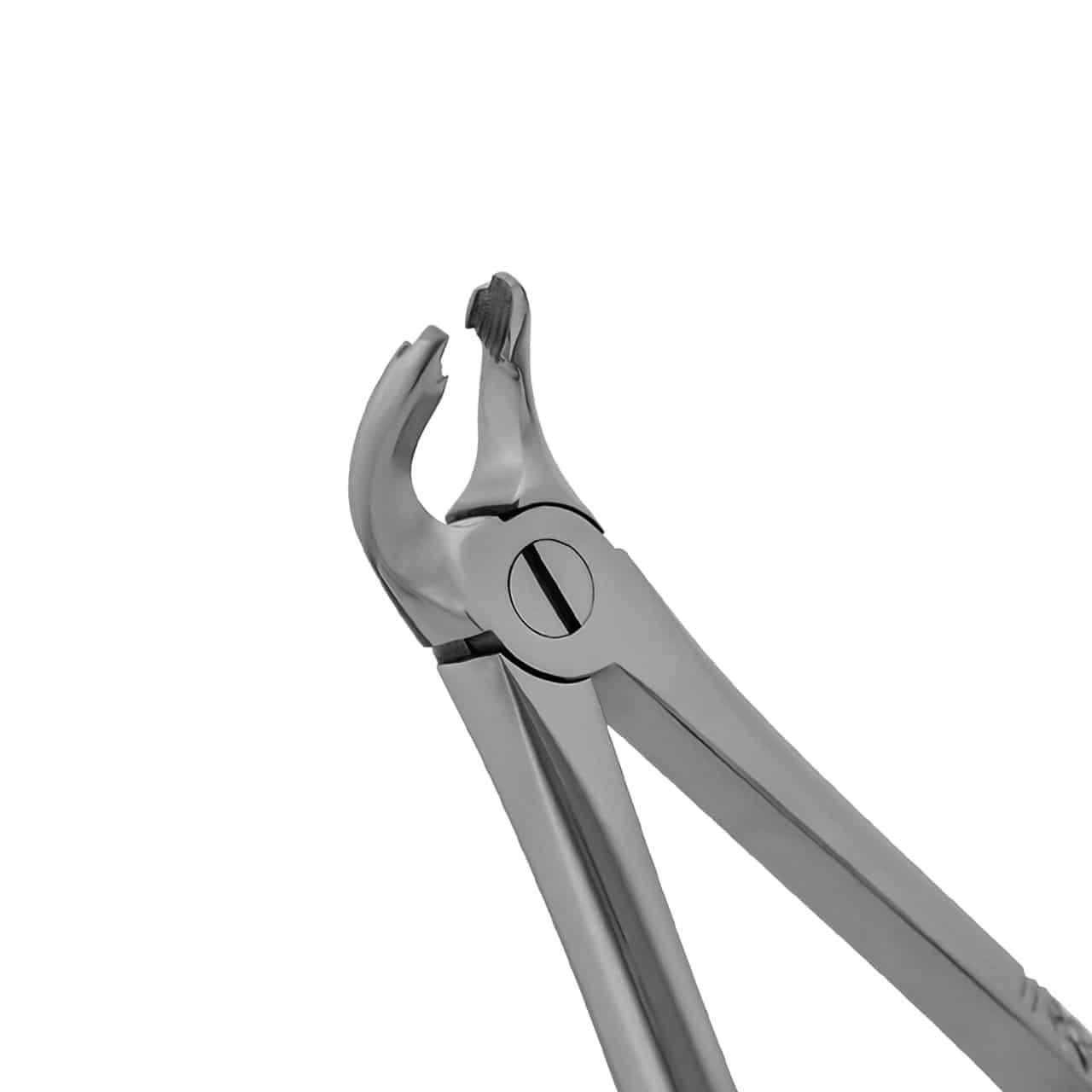 21 English Pattern Extraction Forceps – Haggai Dental