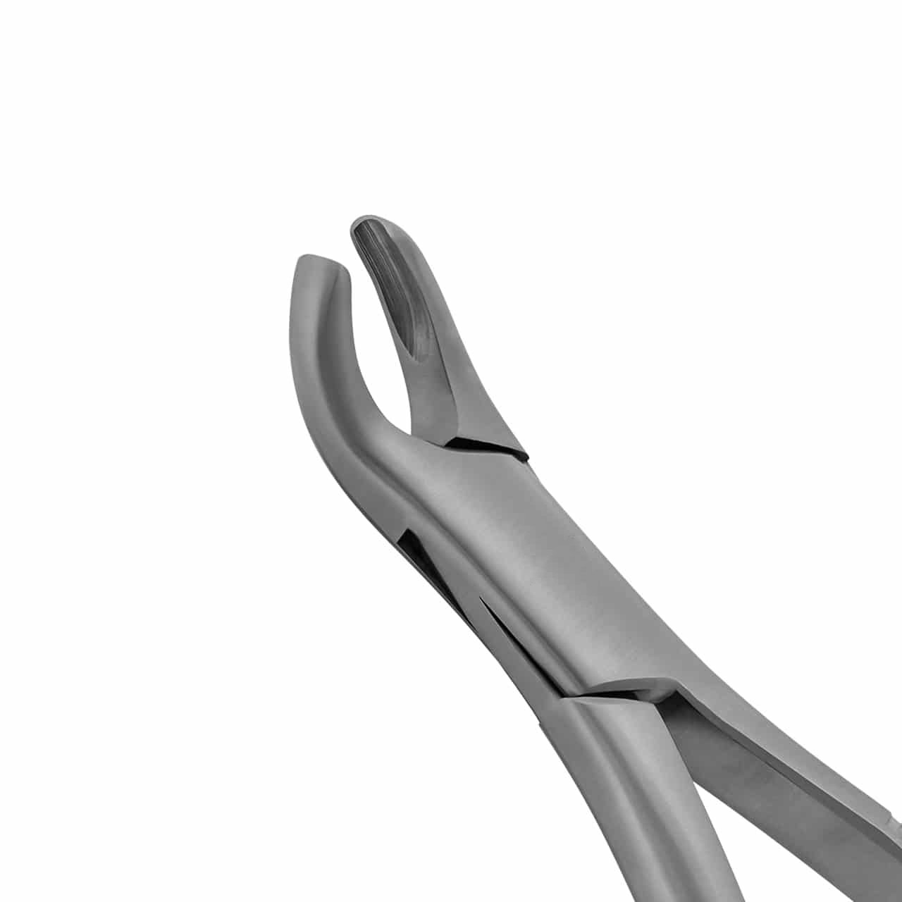 24 Universal Extraction Forceps – Haggai Dental