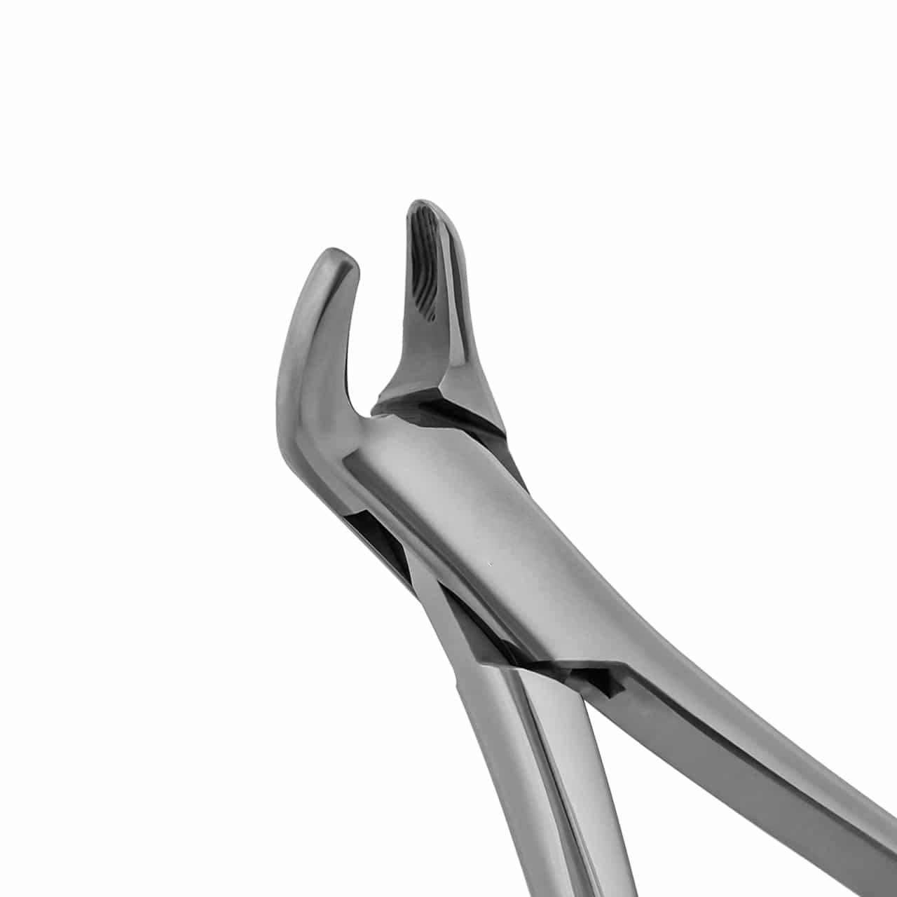 151 Universal Extraction Forceps – Haggai Dental