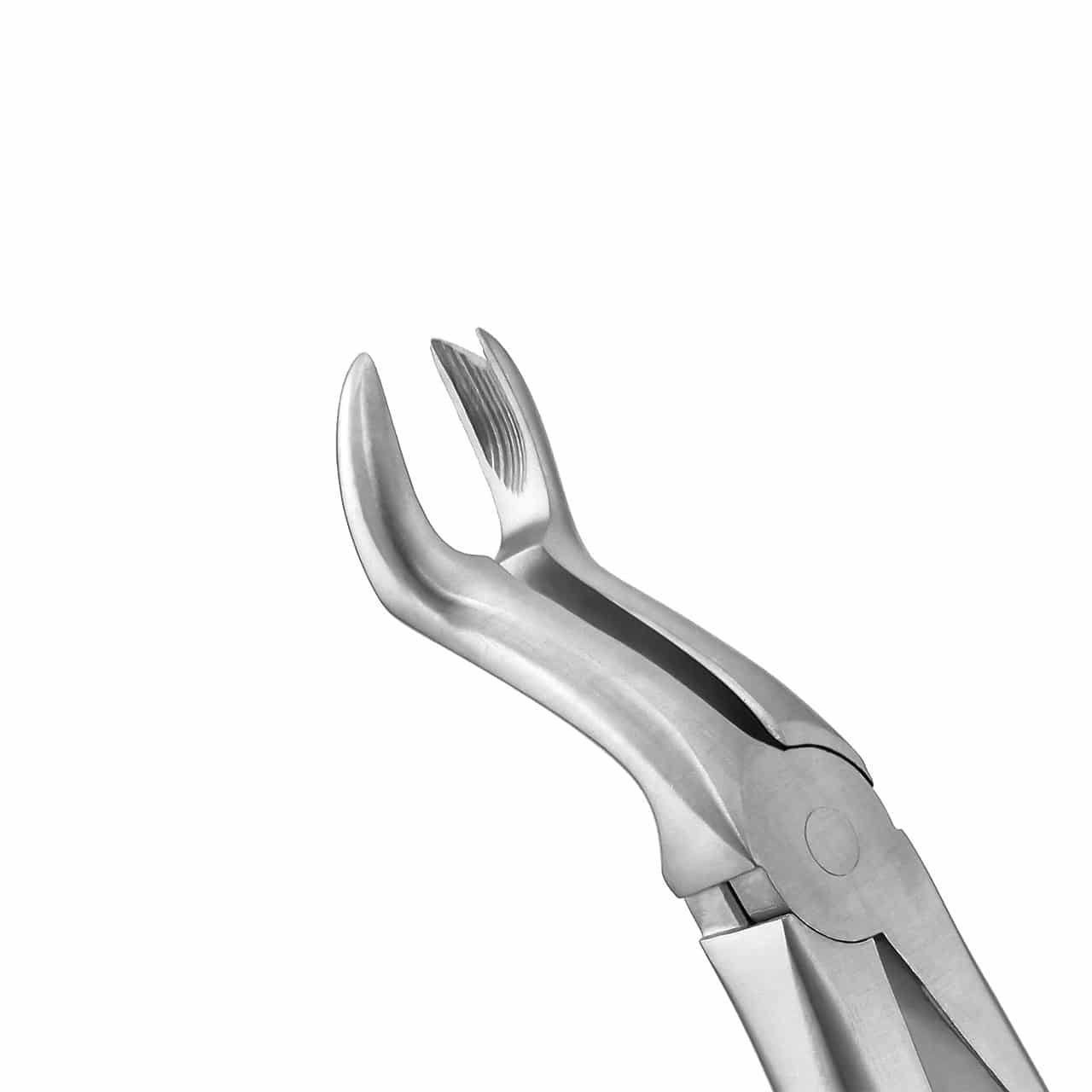 67 English Pattern Extraction Forceps – Haggai Dental