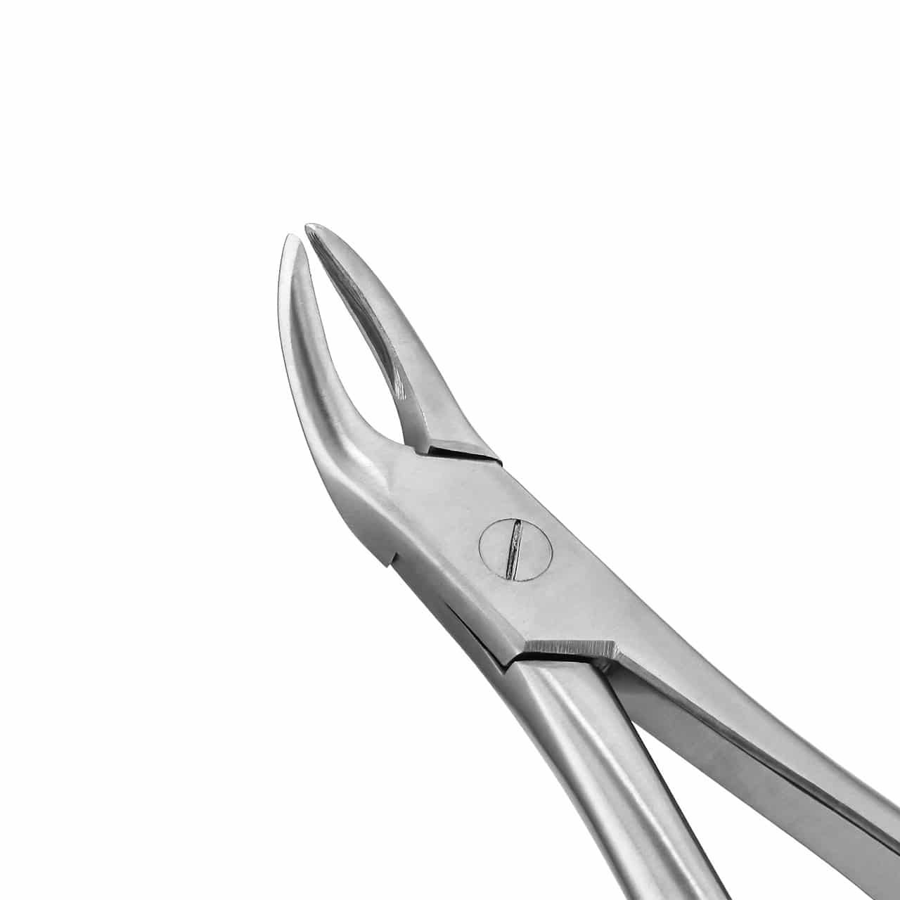 588 English Pattern Extraction Forceps – Haggai Dental