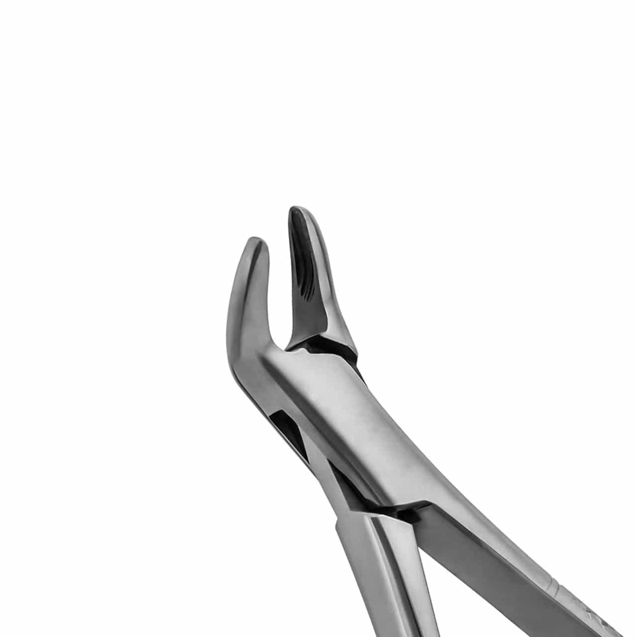 151S Universal Pedo Extraction Forceps – Haggai Dental